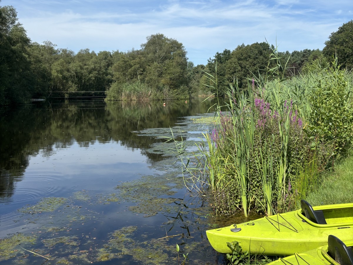 Het vijfde element (Lissenvijver) | Lekkertrappen