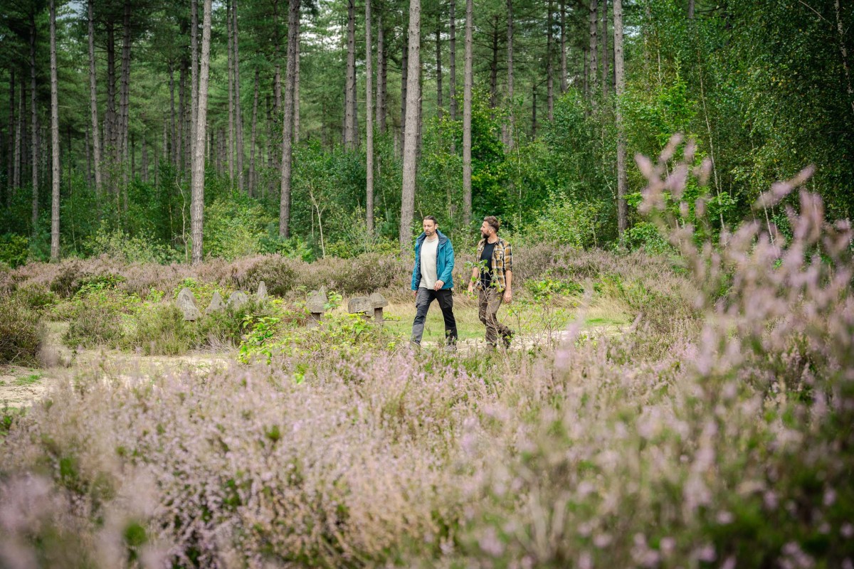 Duo de Merode wandelarrangement | Lekkerstappen